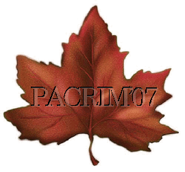 PACRIM'07 Logo